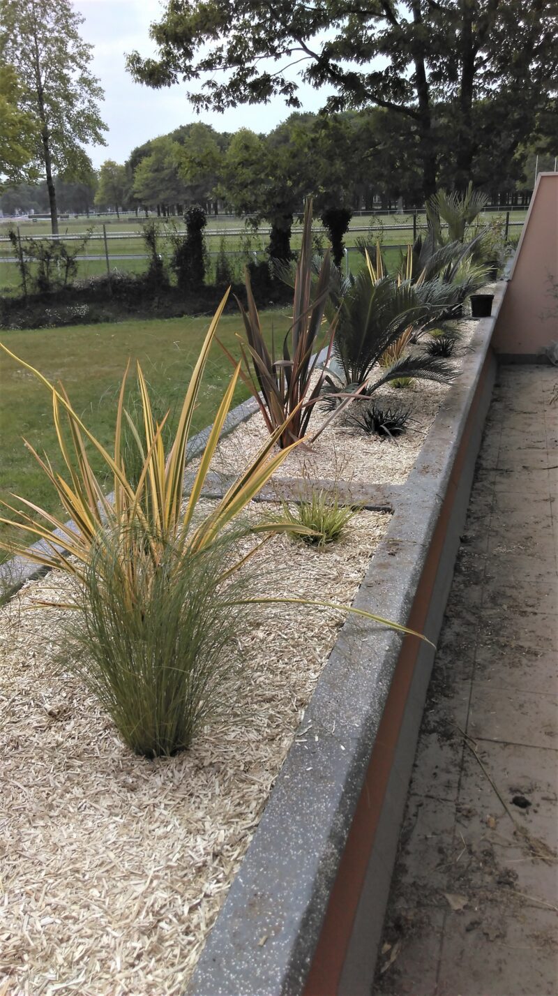Aménagement d’une terrasse d’entreprise - Vertigo Jardins