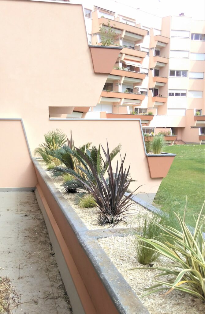 Aménagement d’une terrasse d’entreprise - Vertigo Jardins